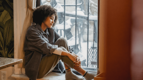 Startseite - Primal State