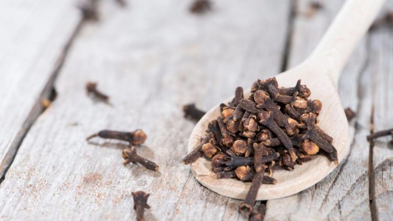 Polyphenole: Darum sind sie so gesund + Lebensmittelliste | Primal State