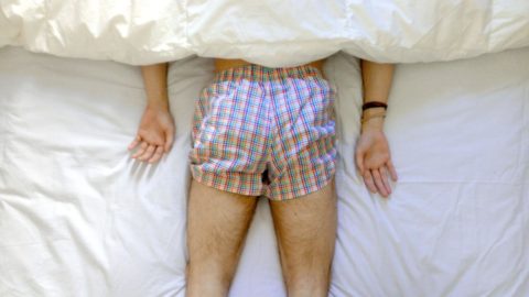 Startseite - Primal State