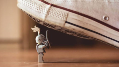 Startseite - Primal State